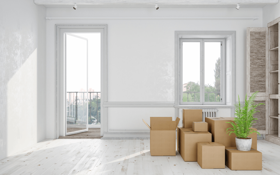 MC Cleaning Services